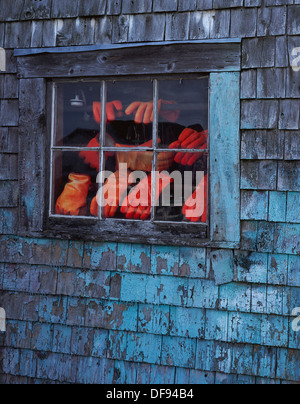 Hunts Point, Nova Scotia, Canada Stock Photo - Alamy