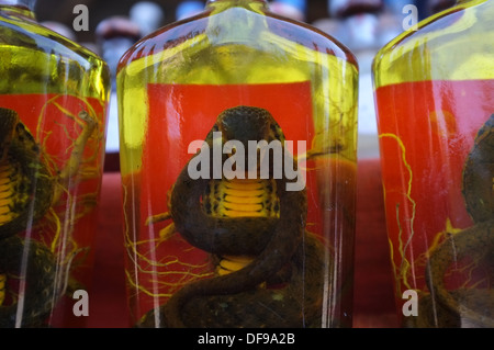 Snake whiskey (aka snake wine) for sale at market in Laos Stock Photo ...