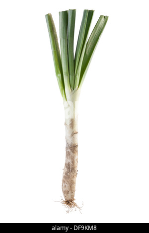 Calsot, typical Spanish food Stock Photo - Alamy