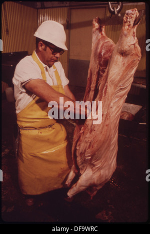 The Rifle Packing Plant is a family-run operation that processes ...