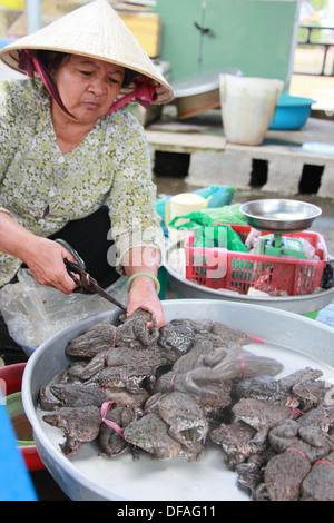 Frog, Market, Sa Dec, Mekong River, Vietnam, Asia Stock Photo - Alamy