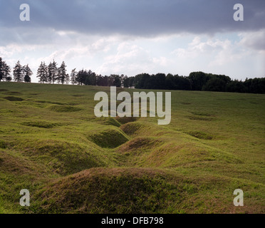 The shell holes and trenches landscape of the WW1 battlefield at Vimy ...