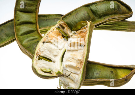 Pacae fruit (Inga brachyptera fruit). Original Peruvian fruit Stock ...