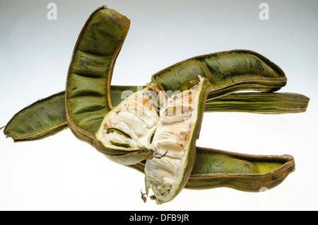 Pacae fruit (Inga brachyptera fruit). Original Peruvian fruit Stock ...