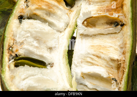 Pacae fruit (Inga brachyptera fruit). Original Peruvian fruit Stock ...