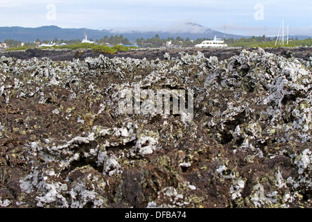 Volcanic Galapagos Islands Landscape Stock Photo - Alamy