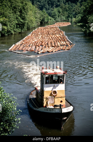 Transporting timber logs by ship Stock Photo - Alamy
