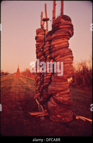This photograph shows a Christmas Eve bonfire, a long-standing ...