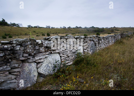 Traditional stonewall on the Swedish island of Gotland in the Baltic ...