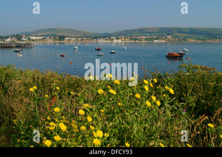 Peveril Point Swanage bay with Ballard down headland in the far ...
