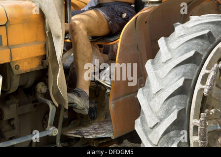 Vintage, Montferrat, Piedmont, Italy Stock Photo - Alamy