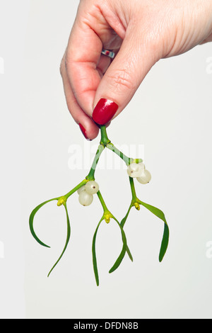 A woman's hand holding mistletoe Stock Photo - Alamy