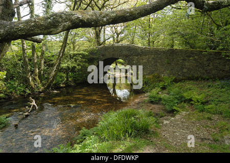 Higher Meavy Bridge, Meavy, Dartmoor, Devon Stock Photo - Alamy