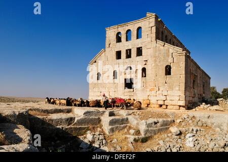 Byzantine ruins at Aleppo Syria Stock Photo: 11260845 - Alamy