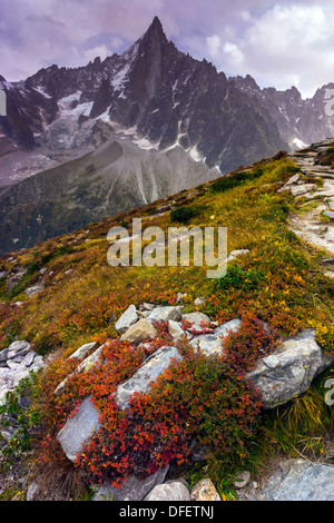 autumn colors in Chamonix with Aiguille du Midi and Mont Blanc in ...