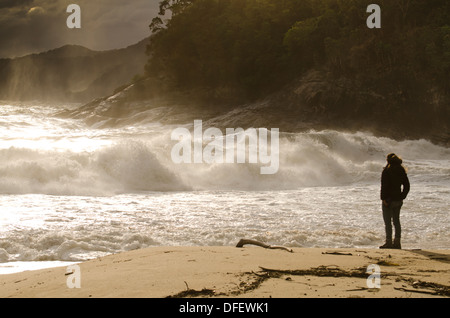 Pauba Beach, Sao Sebastiao, shore of Sao Paulo state, Brazil. Storm day ...
