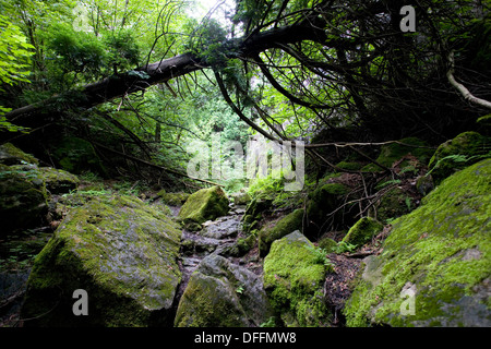 Canada, Ontario, near Ravenna, Metcalfe Rock, Niagara Escarpment named ...