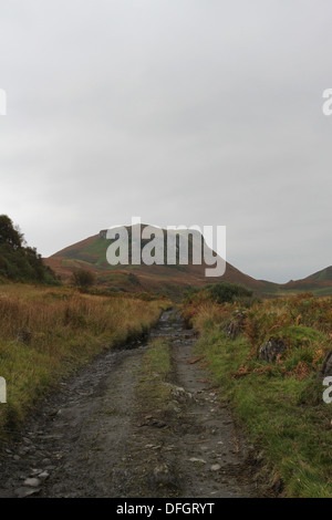 track on Isle of Kerrera Scotland October 2013 Stock Photo - Alamy