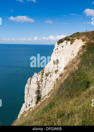 White cliffs at Branscombe coast, Devon, England Stock Photo - Alamy