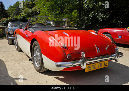 Austin Healey 3000 car rear view showing chrome bumper Stock Photo - Alamy