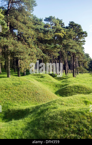 the bomb craters of the battlefield at Vimy France WW1 Stock Photo - Alamy