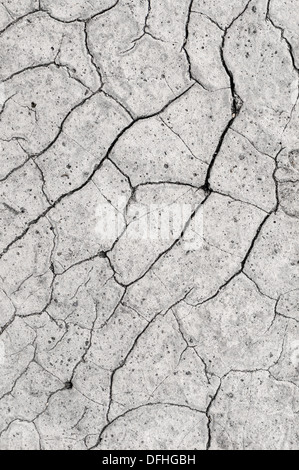 Dirt Background with die moss Stock Photo - Alamy