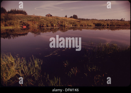 MOEN LAKE--ONE OF THE MANY CONNECTED LAKES OF THE 11,815 SQUARE MILE ...