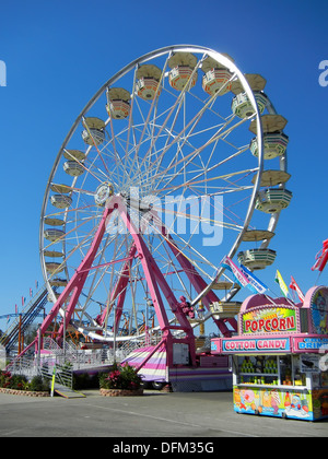 Ferris Wheel Florida State Fair Tampa FL Stock Photo: 73706458 - Alamy