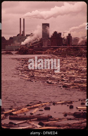 Georgia Pacific paper mill in Newport Oregon with wood chips piled ...