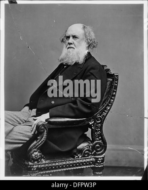 Sir Frederick Bruce, a British diplomat and statesman, known for his ...
