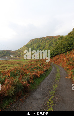 track on Isle of Kerrera Scotland October 2013 Stock Photo - Alamy