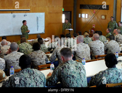 Seabees from Naval Mobile Construction Battalion 3, 5 and 40 stand in ...