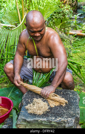 Kosrae, Micronesia (FSM). Man shapes pounded kava root and rolls it ...