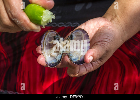 Fresh raw clam, waiting to be eaten with a squirt of lime juice Stock ...