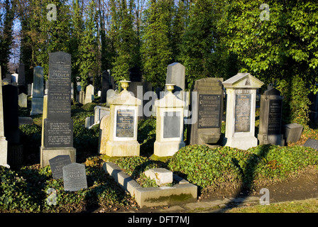 Grave of Franz Kafka at Zidovske hrbitovy the Jewish cemetery in Stock ...