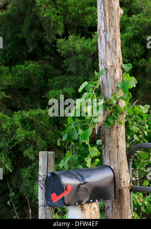 Beat up mailbox Stock Photo - Alamy