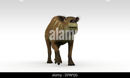 Eurohippus, an extinct genus of equid ungulate, white background Stock ...