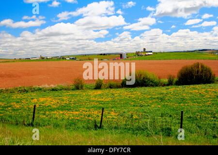 Farm, Stewiacke, Nova Scotia, Canada Stock Photo: 70011424 - Alamy
