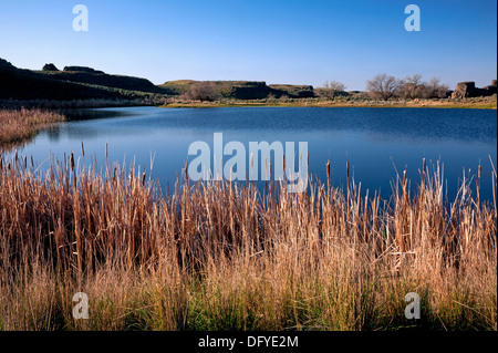 WASHINGTON - Katey Lake in the Seep Lakes Wildlife Area Stock Photo - Alamy