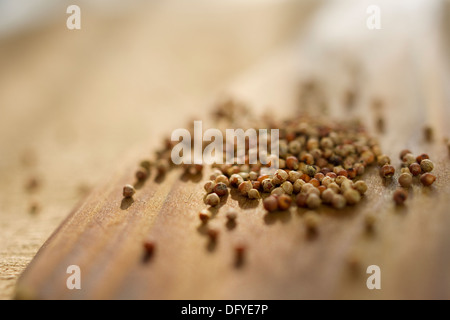 Finger millet (Eleusine coracana Stock Photo: 235315401 - Alamy
