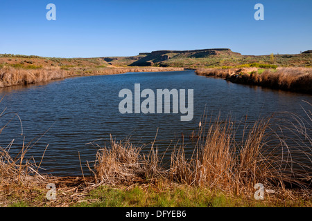 WASHINGTON - Katey Lake in the Seep Lakes Wildlife Area Stock Photo - Alamy