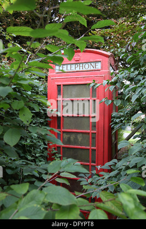 Abandoned and overgrown red telephone box in the landscape. Vertical ...