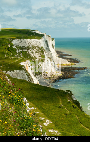 The majestic White Cliffs of Dover Stock Photo - Alamy