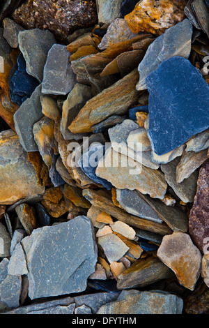Cracked mountain rock with diagonal green plants and trees in a natural ...