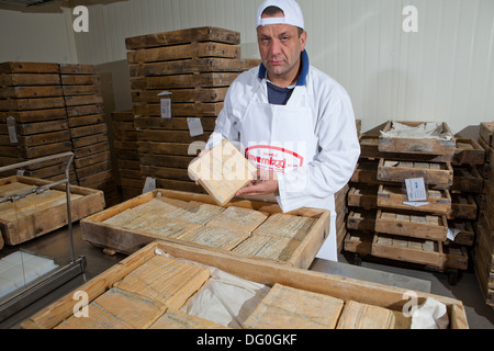 Italy, Lombardy, Valsassina, Taleggio DOP. Processing, traditional ...