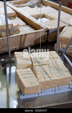 Italy, Lombardy, Valsassina, Taleggio DOP. Processing, traditional ...