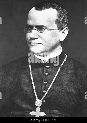 GREGOR MENDEL Austrian monk and botanist 1822 to 1884 whose work ...