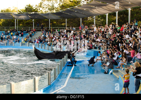 Killer whale show at Mundo Marino, San Clemente del Tuyu, Argentina ...