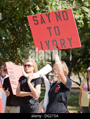 Elephant March demonstrator holding up sign protesting against poaching ...