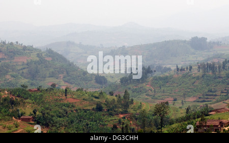 Rural Rwanda Land of 1000 Hills farms banana and hills with terracing ...